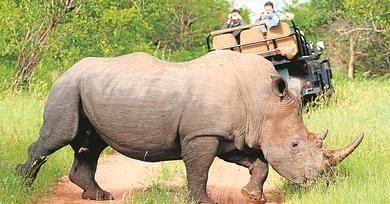 What to do in Andalucia Surinenglish.com