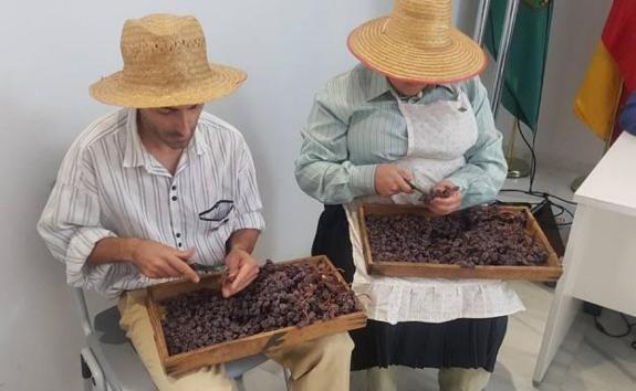 Muscatel raisin given FAO Heritage status . surinenglish.com