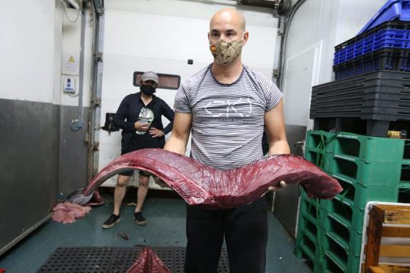 The secrets of the 'snoring' tuna . surinenglish.com