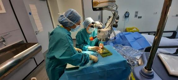 First transplant at St Bernard's hospital in Gibraltar . surinenglish.com